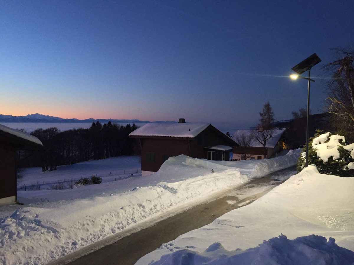 How Solar Street Lights Boost Safety During Winter Outages